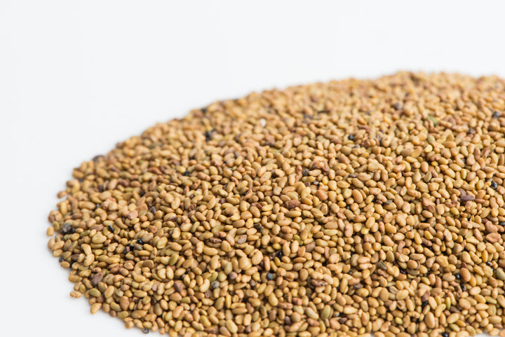 All Seeds – Mumm's Sprouting Seeds