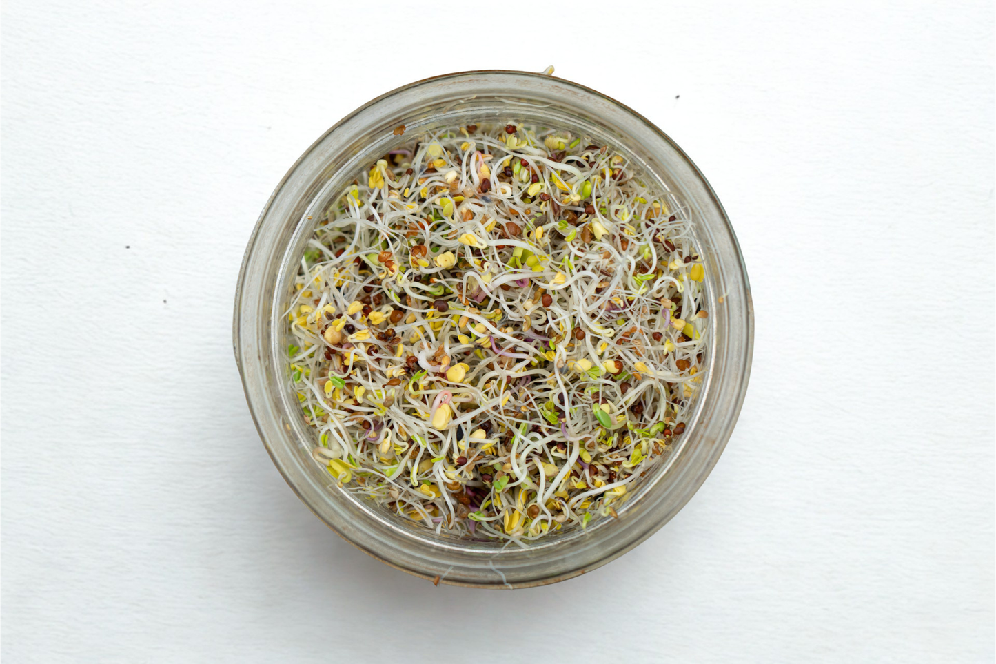 Happy Gut Microbiome Blend – Mumm's Sprouting Seeds